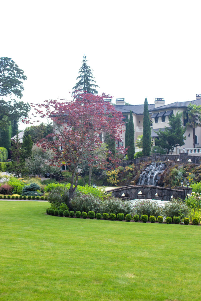 Portfolio – Renee Wilkinson Landscapes